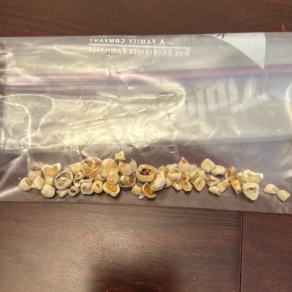 Other | Human Teeth For Creepy Dolls And Art Projects | Poshmark
